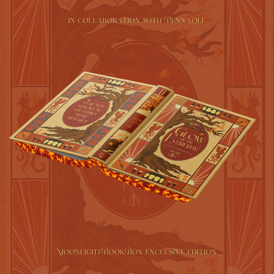Moonlight Book Box
